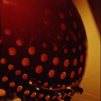 Cognitive Neuroimaging Laboratory | Neuroscience Program | UIUC